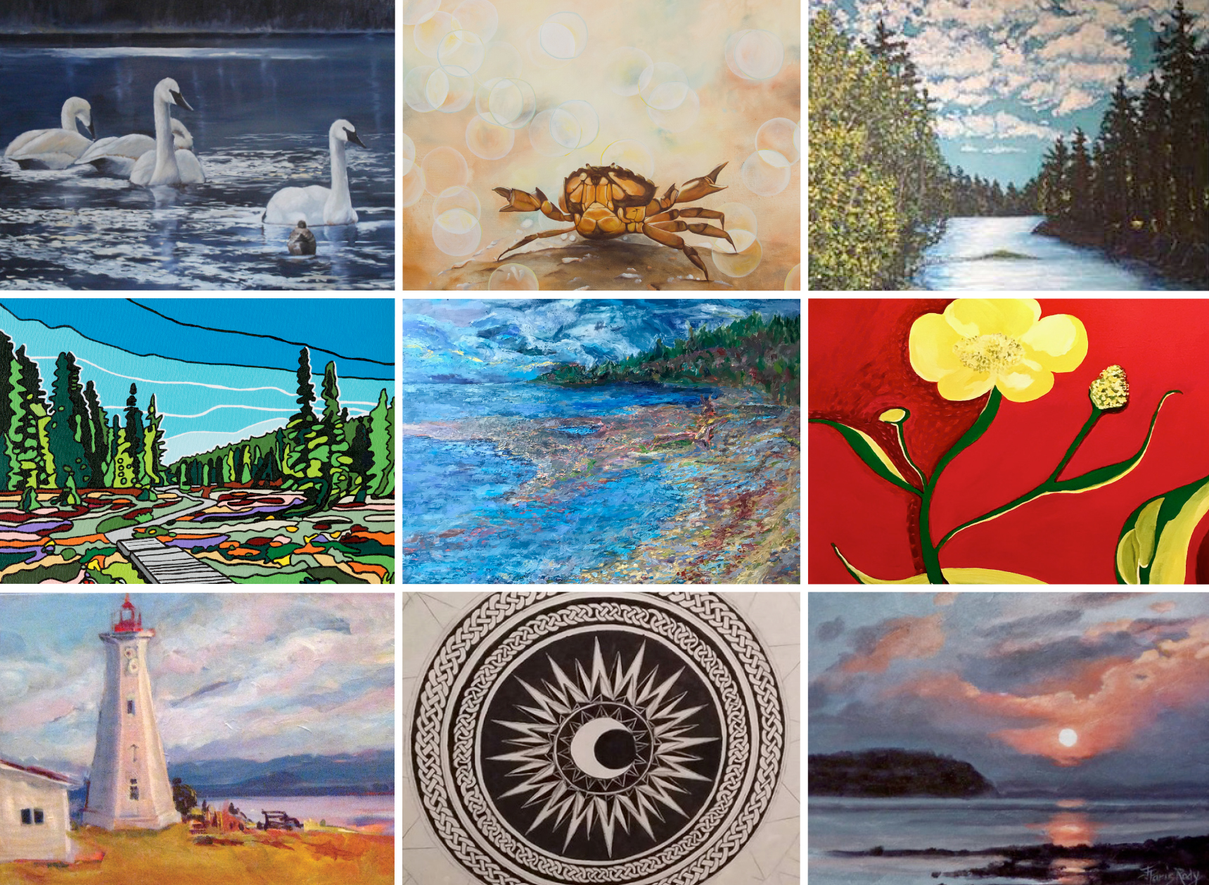 Local Visual Artists ‘Connect’ With Each Other & The Local Environment ...